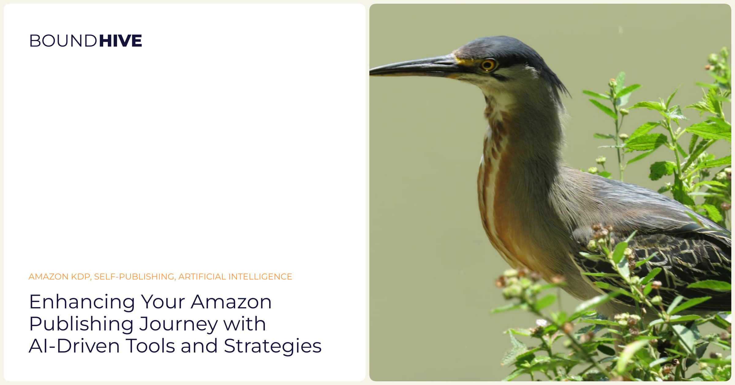 Enhancing Your Amazon Publishing Journey with AI-Driven Tools and ...