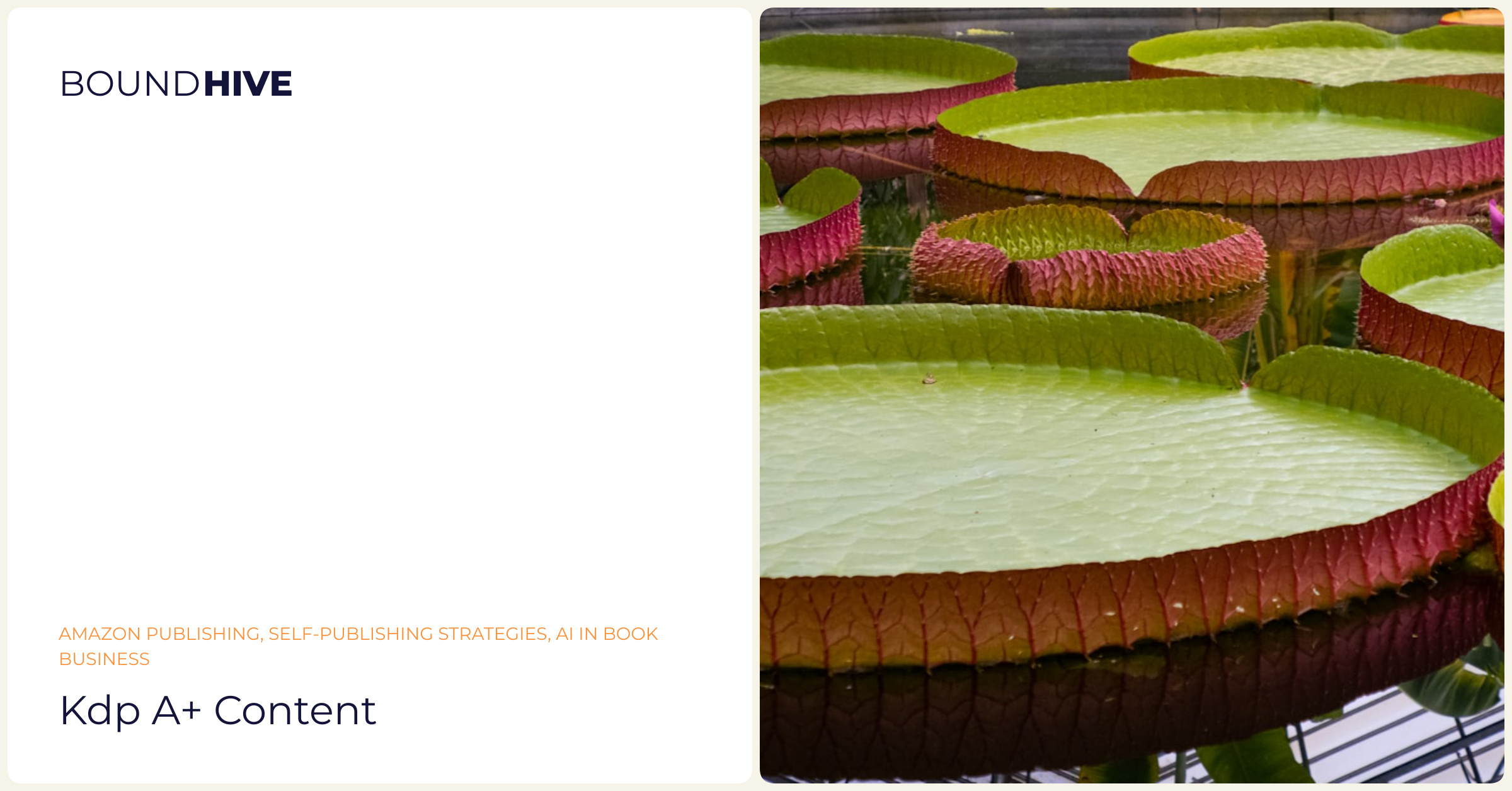 Kdp A+ Content - BoundHive